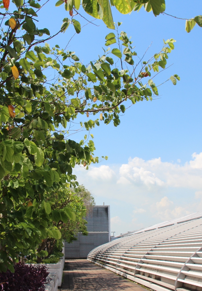 Sustainability Report 2023 | Hong Kong Air Cargo Terminals Limited (Hactl)